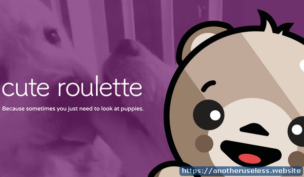 Cute Roulette - cuteroulette.com - Cute animal GIFs