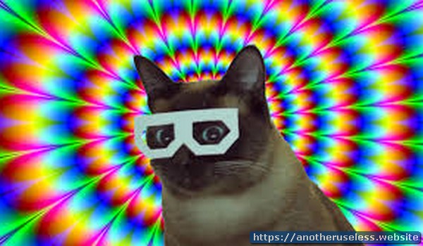 procatinator.com - Procatinator - a blend of cat GIFs and music